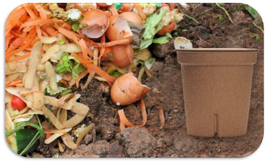 No Power? No Problem! How The Compost Collector® Thrives in Any Enviro